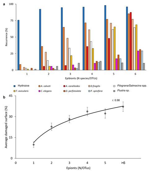 The Diversity, Structure, and Development of the Epibiont Community of ...