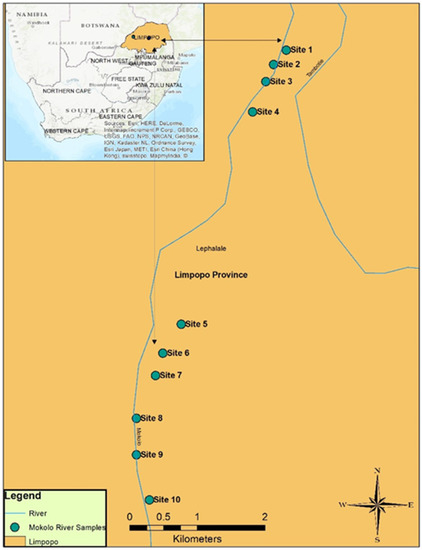 Selective Speciation of Inorganic Selenium [Se(IV)] in Water Samples by ...