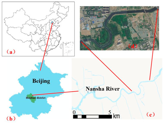 Quantifying the Impact of Changes in Sinuosity on River Ecosystems