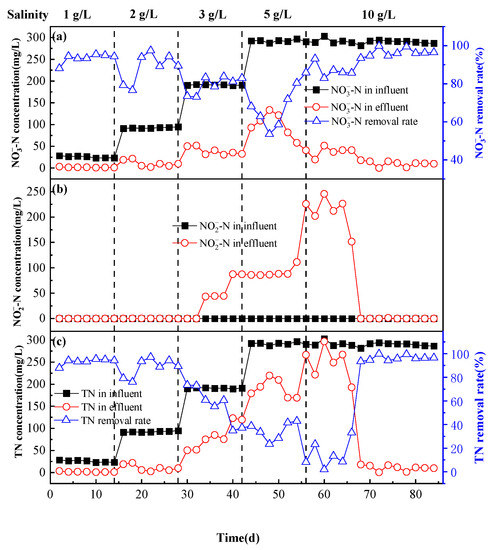 High-Efficiency Mixotrophic Denitrification for Nitrate Removal in High ...