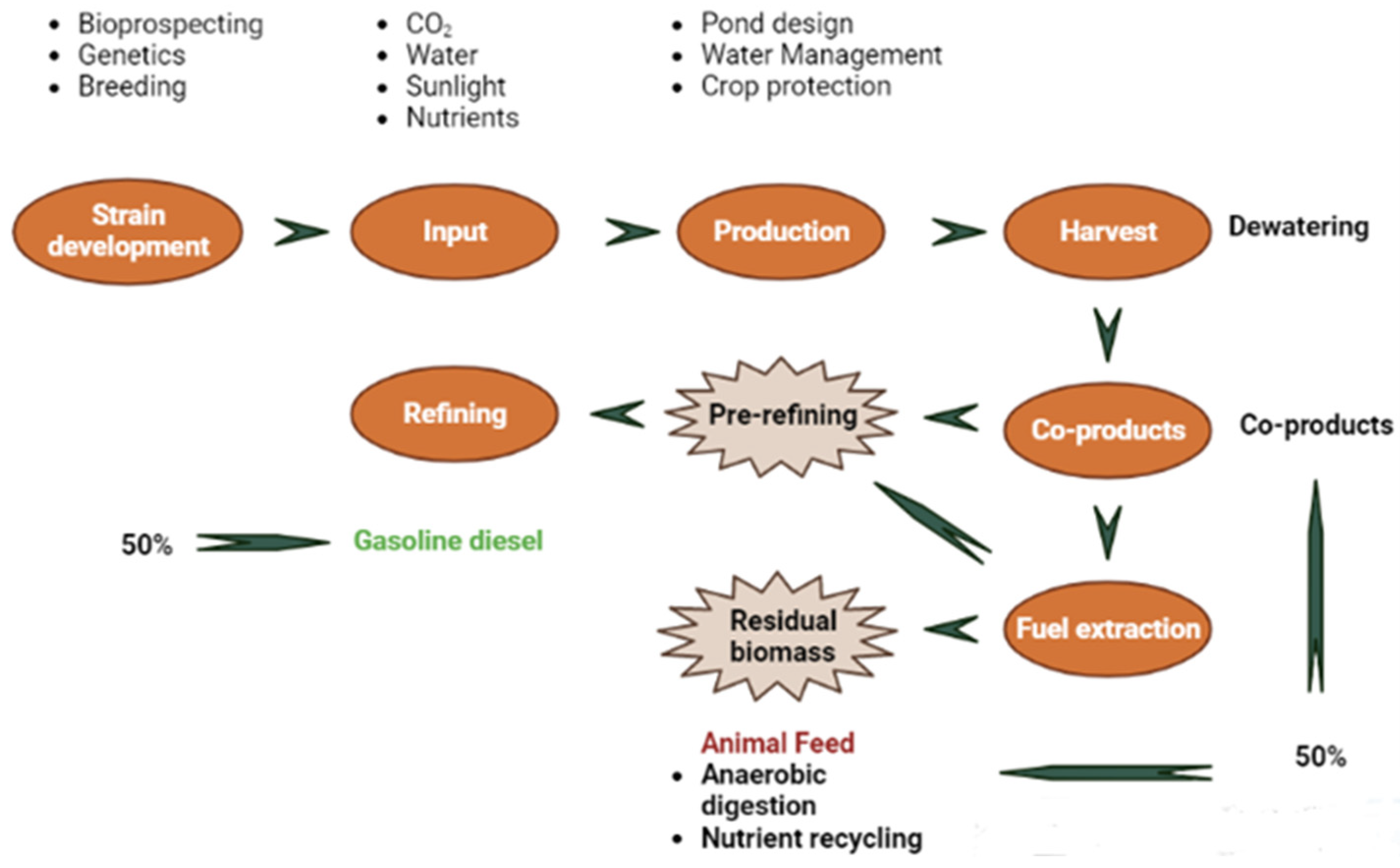 Flow Rate Optimization in a Flat-Panel Photobioreactor for the ...
