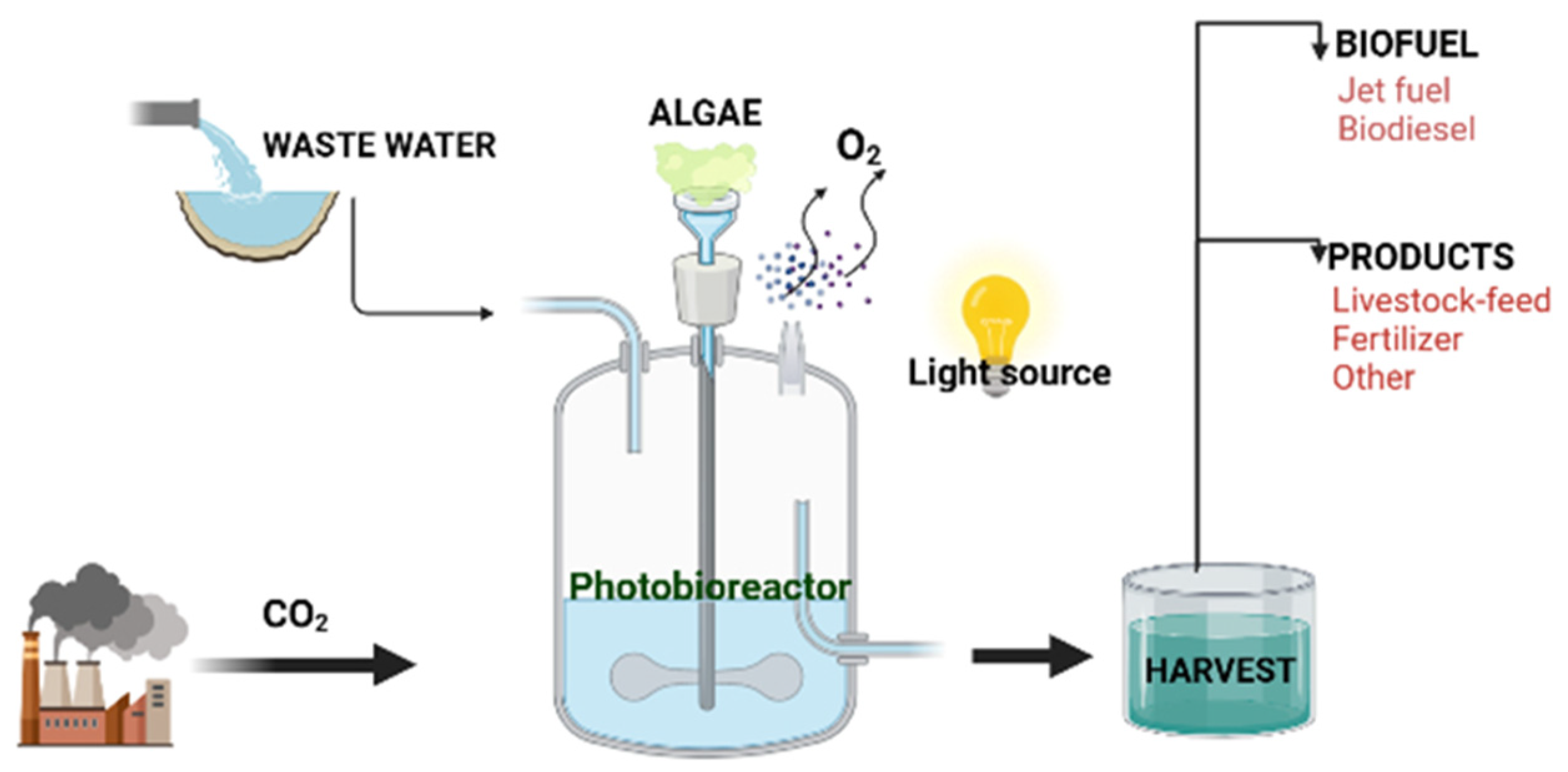 Flow Rate Optimization in a Flat-Panel Photobioreactor for the ...