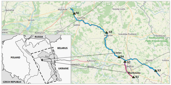 Variability and Heavy Metal Pollution Levels in Water and Bottom ...