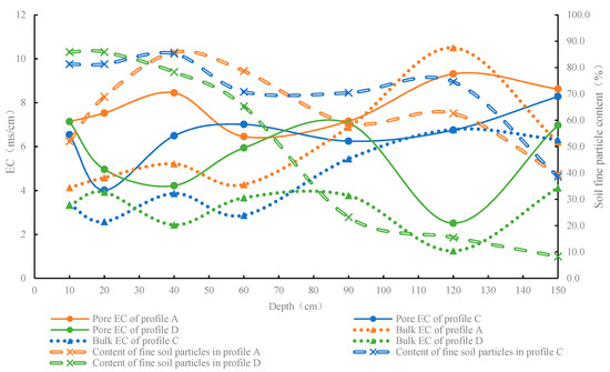 Effects of Soil Particle Structure on the Distribution and Transport of Soil Water and Salt
