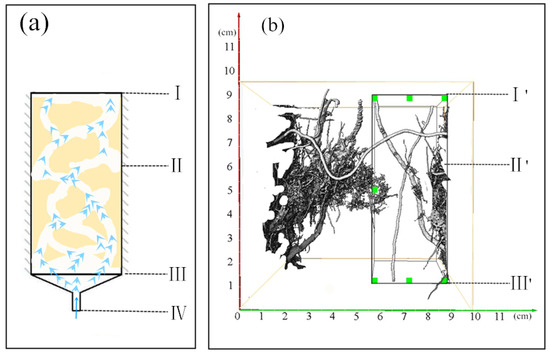 Computing of Permeability Tensor and Seepage Flow Model of Intact Malan ...