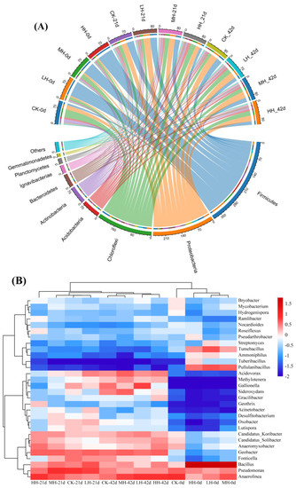 Responses of a Submerged Macrophyte Potamogeton crispus and Epiphytic ...
