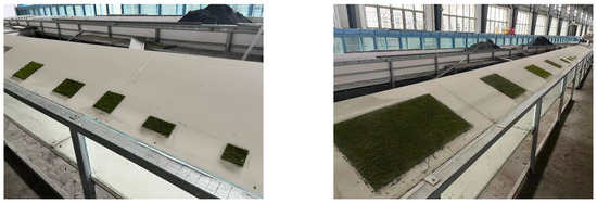 Experimental Study of the Hydrodynamics of an Open Channel with Algae ...