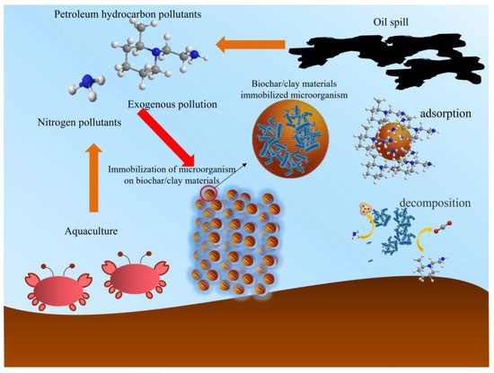 Biochar/Clay Composite Particle Immobilized Compound Bacteria ...