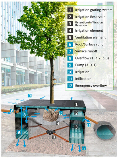 Stormwater Tree Pits for Decentralized Retention of Heavy Rainfall