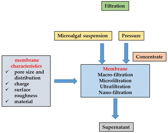 A Review of the Harvesting Techniques of Microalgae