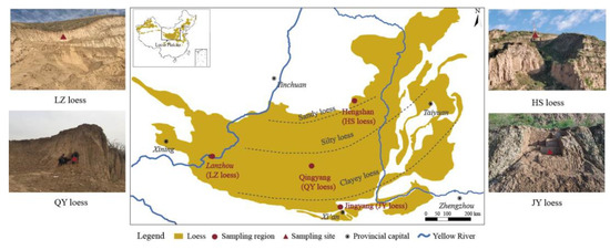 Quantitative 3D Characterization of Pore Structure in Malan Loess from ...