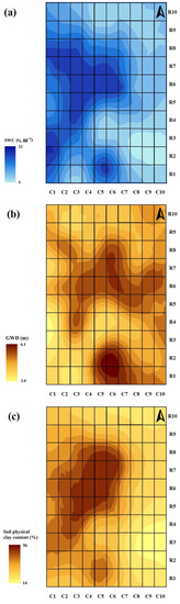 Spatial and Temporal Variations in Soil Moisture for a Tamarisk Stand ...