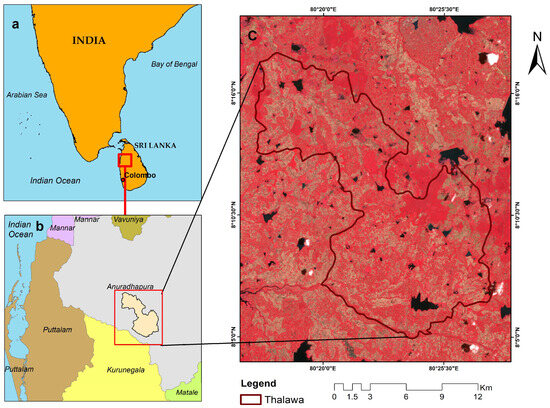Application of GIS, Multi-Criteria Decision-Making Techniques for ...