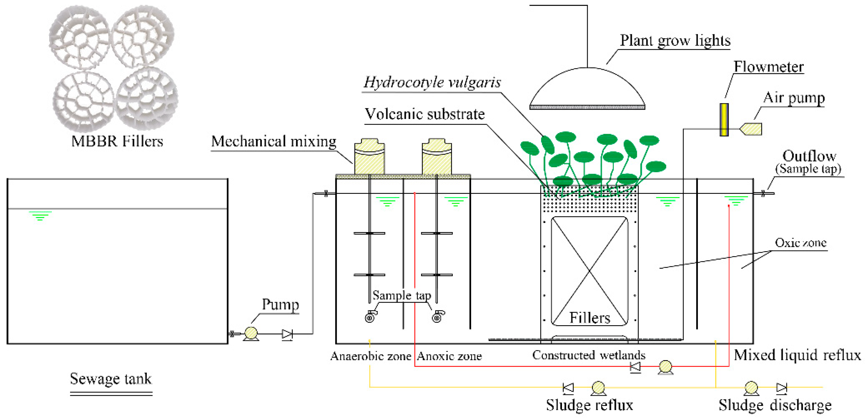 Water | Free Full-Text | Efficacy of Nitrogen and Phosphorus Removal and Microbial ...