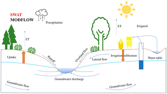 Water | Free Full-Text | The Development of a Coupled Soil Water ...