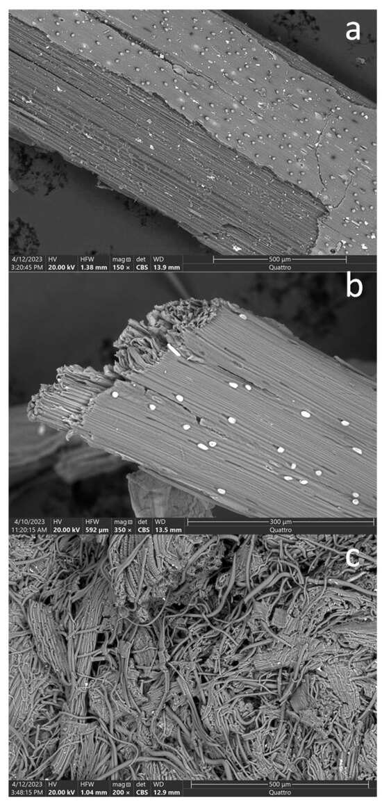 Nitrate Uptake by Cellulose-Based Anion Exchange Polymers Derived from ...