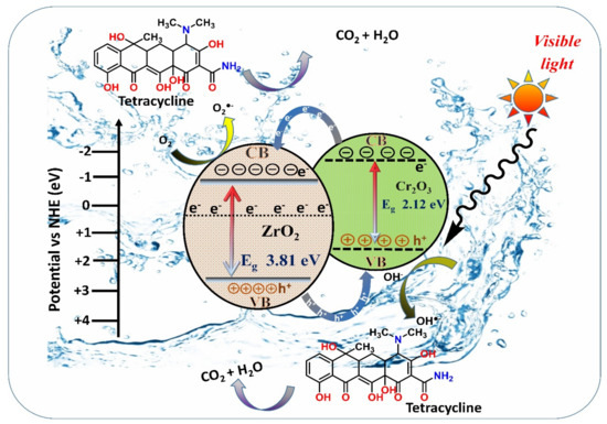 Visible Light-Driven Photocatalytic Degradation of Tetracycline Using p ...
