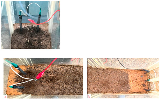 Enhancing Tank Leaching Efficiency through Electrokinetic Remediation ...