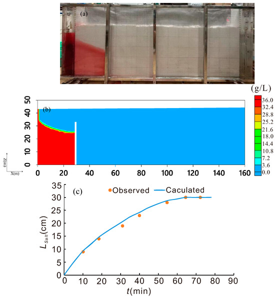 Study on the Control of Saltwater Intrusion Using Subsurface Dams