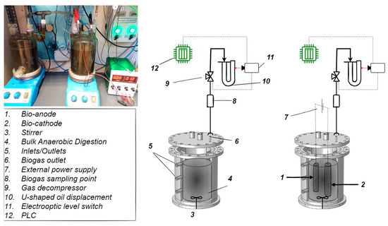 Computational Analysis of the Kinetic Processes of Microbial ...