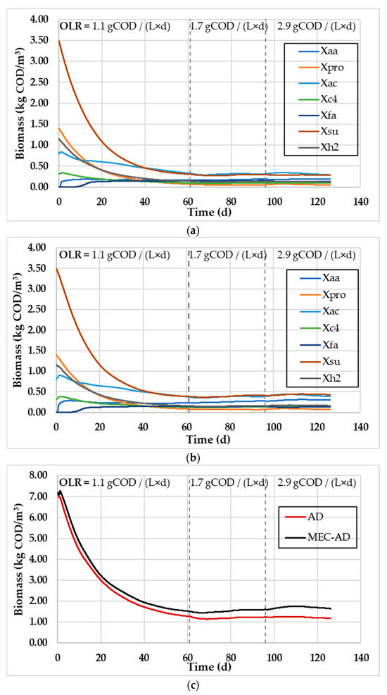 Computational Analysis of the Kinetic Processes of Microbial ...