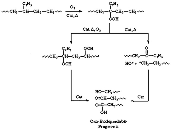 Environmental Degradation of Oxo-Biodegradable Polyethylene Bags