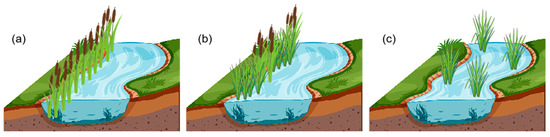 Flow Structures in Open Channels with Emergent Rigid Vegetation: A Review