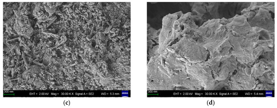 Enhanced Adsorption of Cu2+ from Aqueous Solution by Sludge Biochar ...