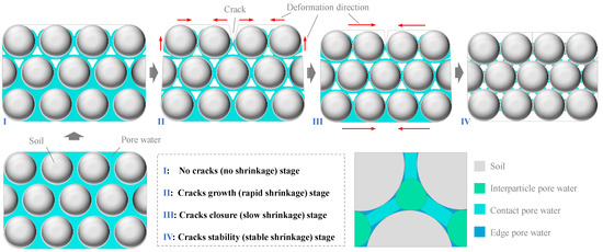 The Effect of Soluble Sugar Degradation on the Evaporation of Compacted ...