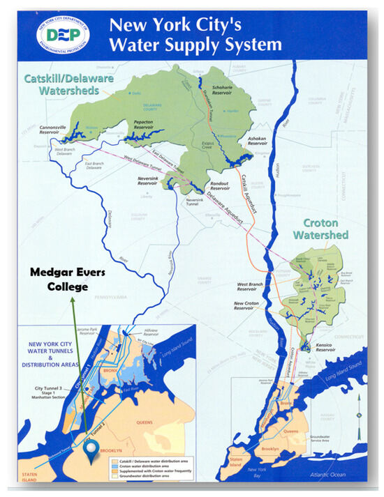 Environmental Assessment and Monitoring of Heavy Metals in New York ...