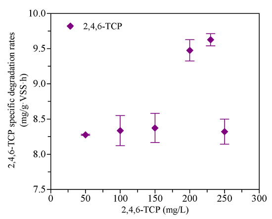 Water | Free Full-Text | Exploring 2,4,6-Trichlorophenol Degradation ...