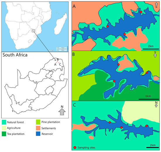 Water | Free Full-Text | Water and Sediment Chemistry as Drivers of ...