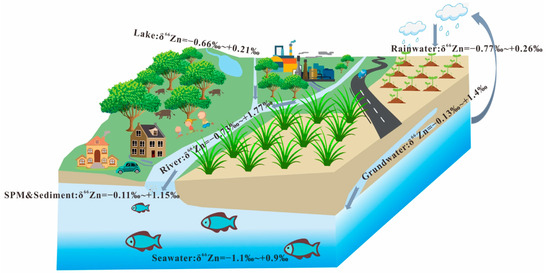 Review on Zinc Isotopes in River Systems: Distribution and Application
