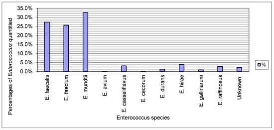 Enterococcus Species and Their Antimicrobial Resistance in an Urban ...