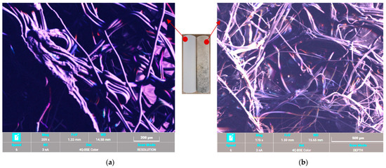 Scanning Electron Microscope Analysis of Polypropylene Filter ...