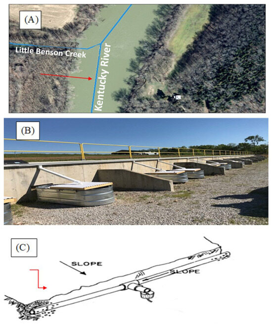 Mobility of Nitrates and Phosphates from Animal Manure-Amended Soil to ...