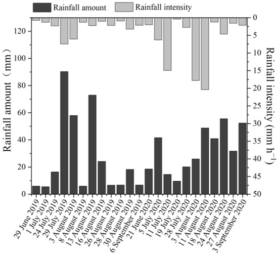 The Throughfall, Stemflow, and Canopy Interception Loss in Corn and ...