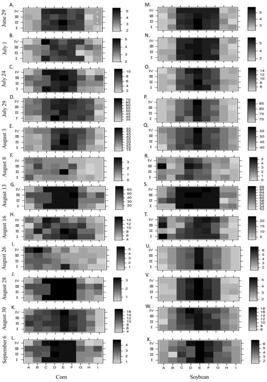 The Throughfall, Stemflow, and Canopy Interception Loss in Corn and ...