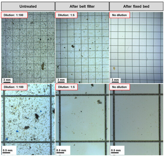 Beyond Microplastics: Implementation of a Two-Stage Removal Process for ...