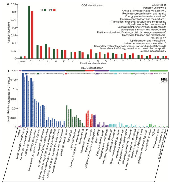 Prokaryotic Microbial Diversity Analysis and Preliminary Prediction of ...
