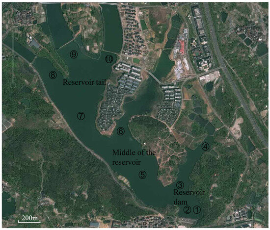 Identification and Distribution Characteristics of Odorous Compounds in ...