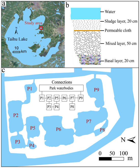 Zeta Diversity Reveals the Small Wetland Complex Promotes Biodiversity