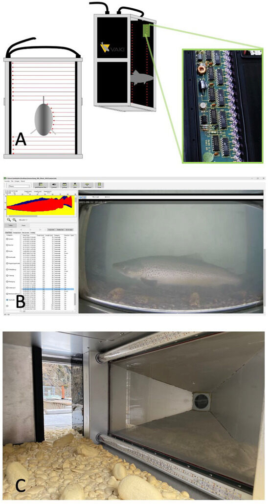 Water | Free Full-Text | Monitoring of Fish Migration in Fishways and ...