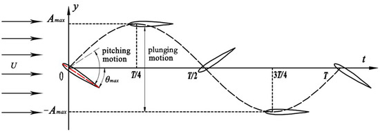 Study on the Hydrodynamic Performance of Swing-Type Flapping Hydrofoil Bionic Pumps Affected by ...
