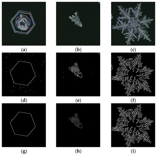 Experimental Study on the Morphology of Snow Crystal Particles and Its ...