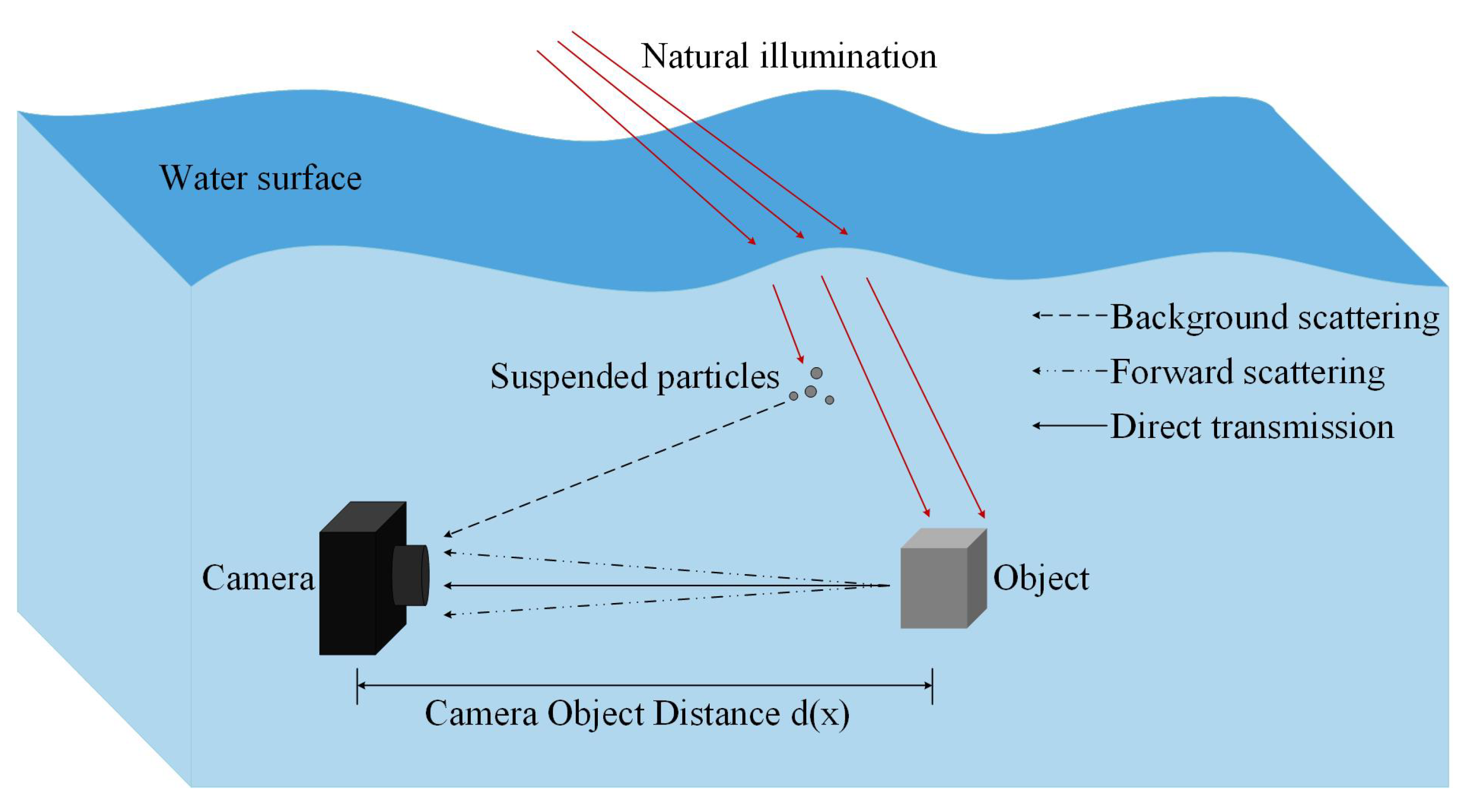 A Lightweight Multi-Branch Context Network for Unsupervised Underwater ...