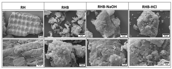 Preparation and Modification of Biochar Derived from Agricultural Waste ...