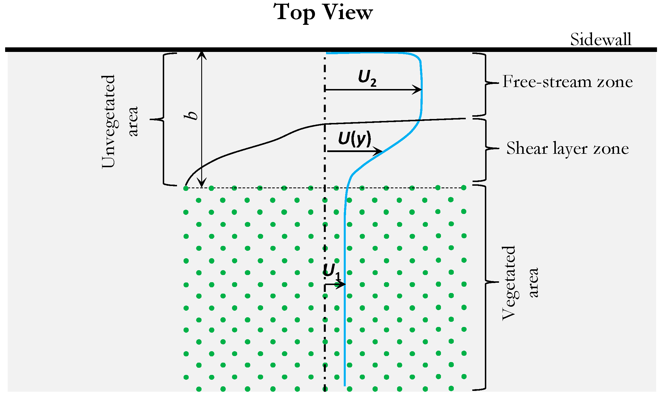 Flow Characteristics in Partly Vegetated Channels: An Experimental ...