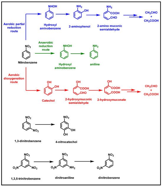 Biological Treatment of Nitroaromatics in Wastewater