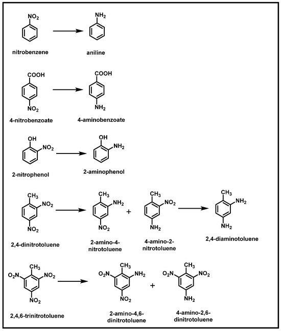 Biological Treatment of Nitroaromatics in Wastewater